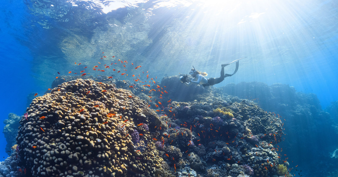 A message from the President, Clive Johnson | IIRSM